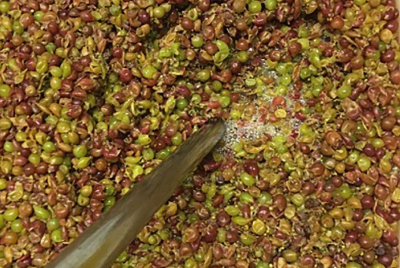 Was die orange Gärung bei Aromasorten bewirkt