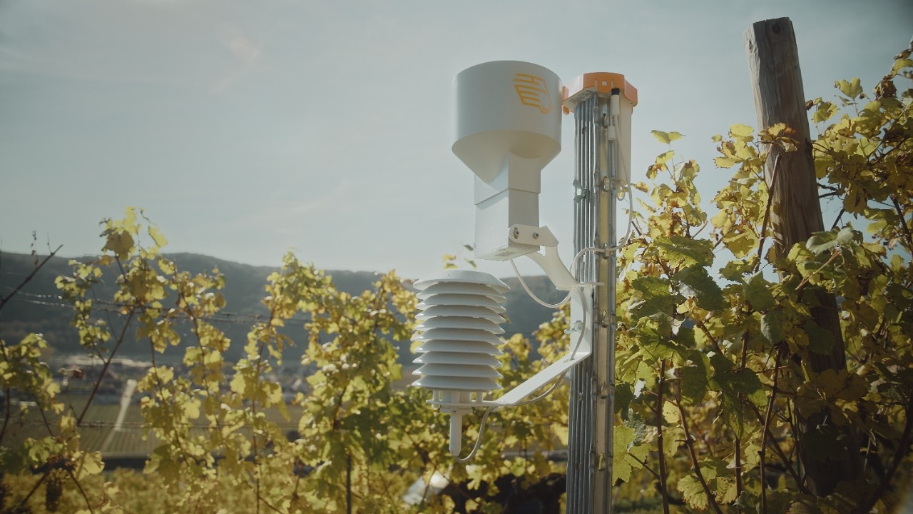 Leova Smart: der Sprung in die digitale Zukunft des Weinbaus