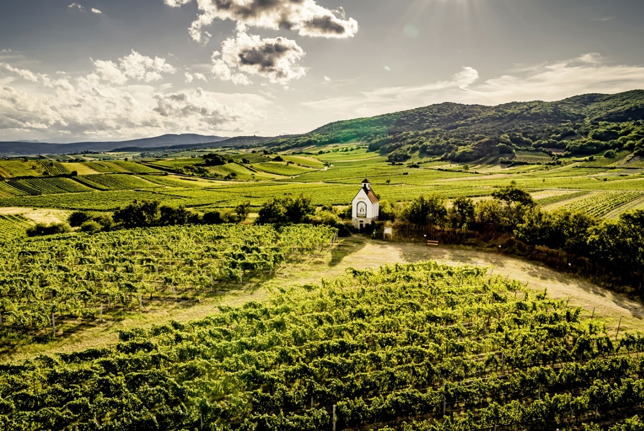 DAC-Familie mit Thermenregion komplett