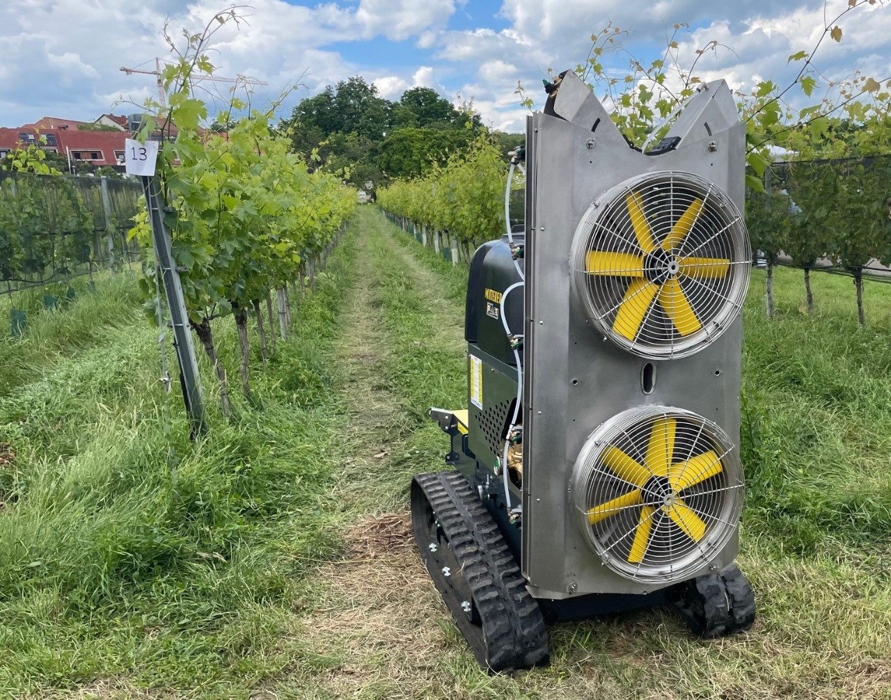 Fachtag: Automatisierung und Robotik im Weinbau